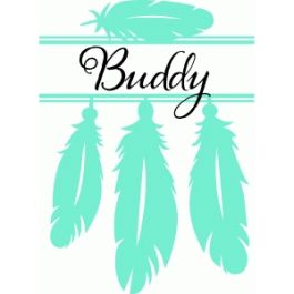 split feather name plate