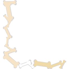 bone border