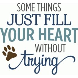 some things fill our hearts phrase