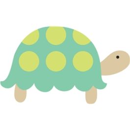 2 layer turtle