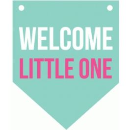 welcome little one banner