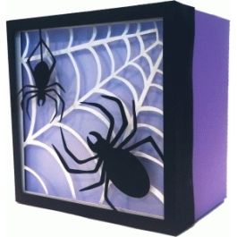 spiderweb gift box