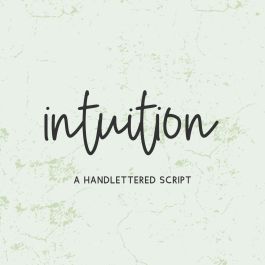 Intuition Script Font|D-377211