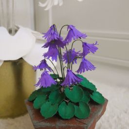 Alpine Snowbell|D-1237330