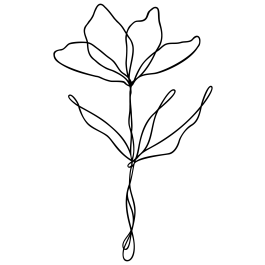 Simple Flower Line Art|D-1240494