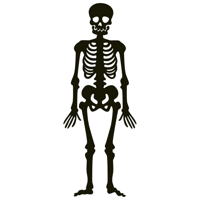 Skeleton Silhouette