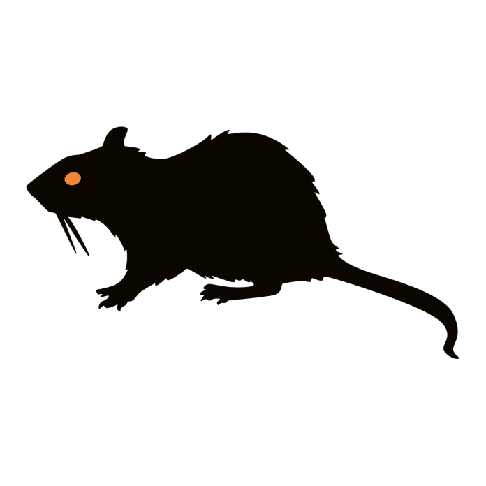 Rat Silhouette|D-380388