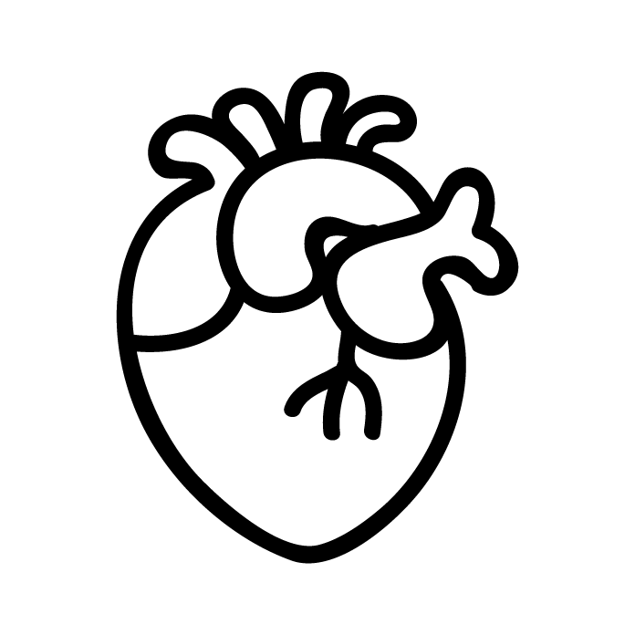 anatomical heart outline