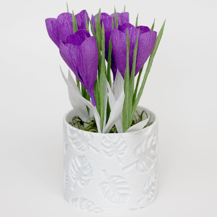 Crepe Paper Crocus|D-1244741