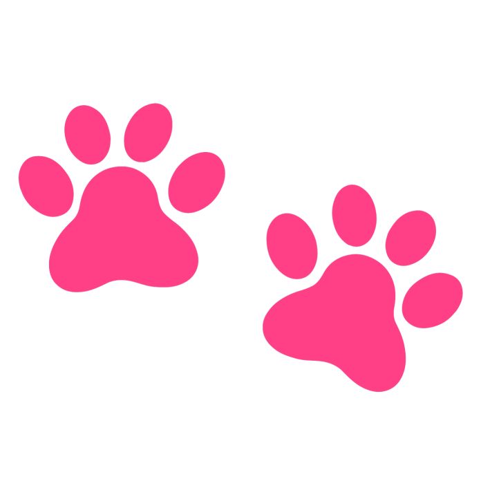 Cute Paw Prints