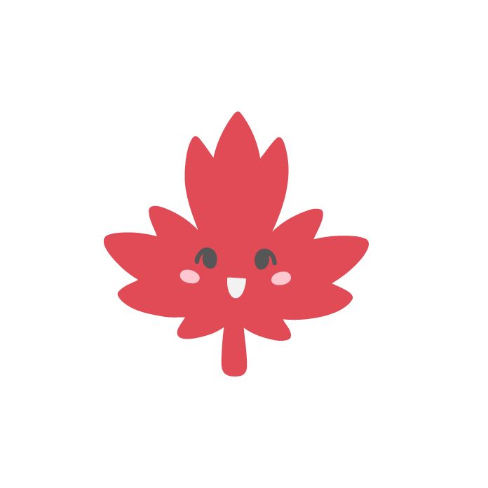 Cute Maple Leaf
