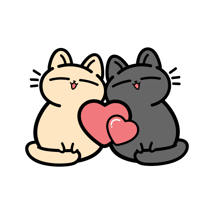 cute cats in love
