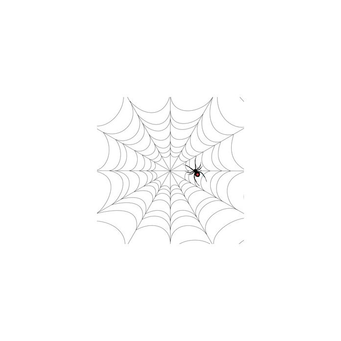 large spider web paper