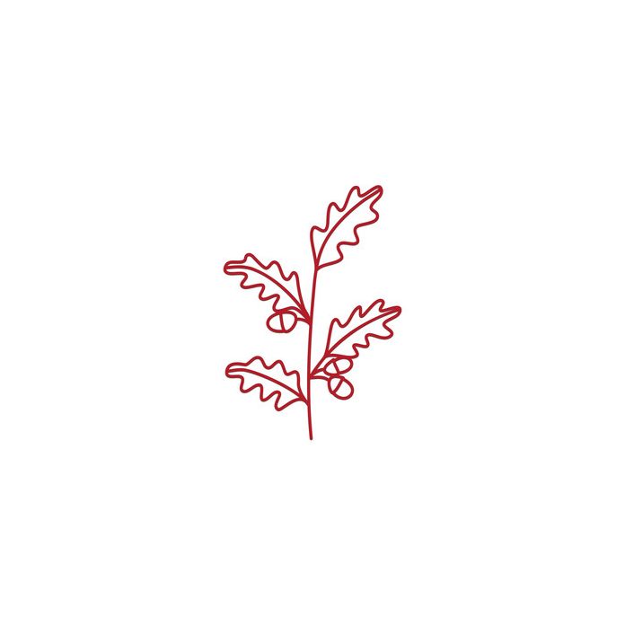 oak sprig
