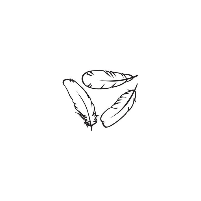 3 feathers