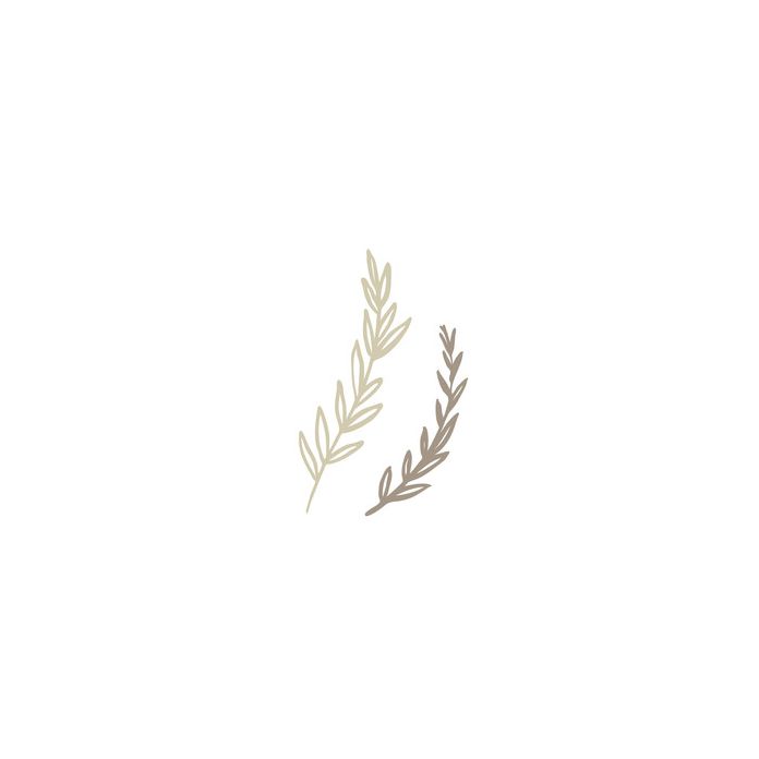 herb sprig