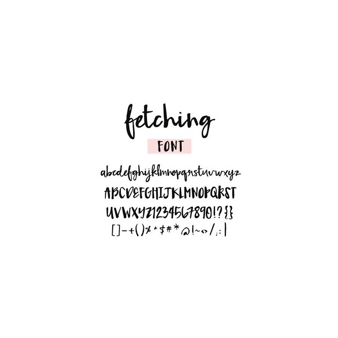 fetching font by angie makes