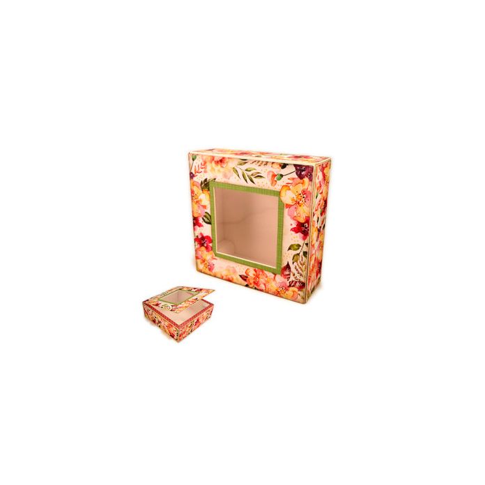 box 3d 6x6 window lid