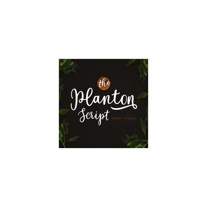 planton script font