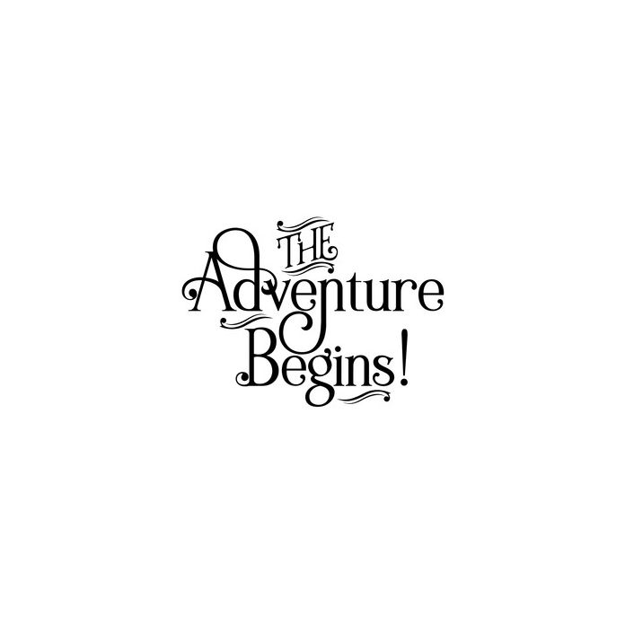 the adventure begins quote