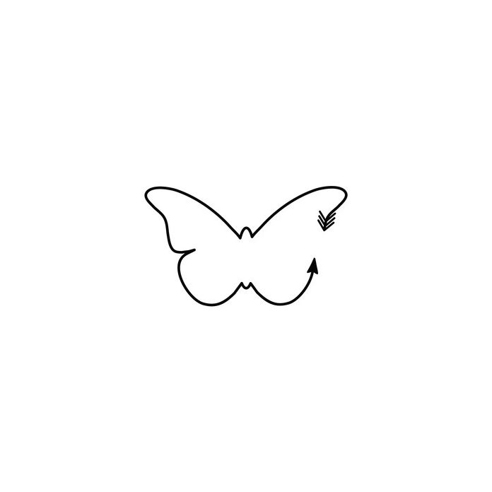 butterfly arrow frame