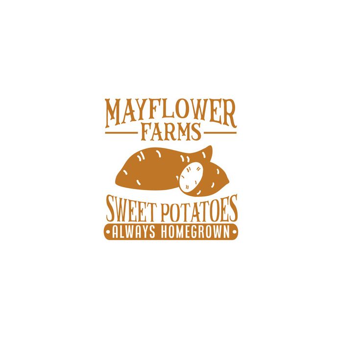 mayflower farms sweet potatoes