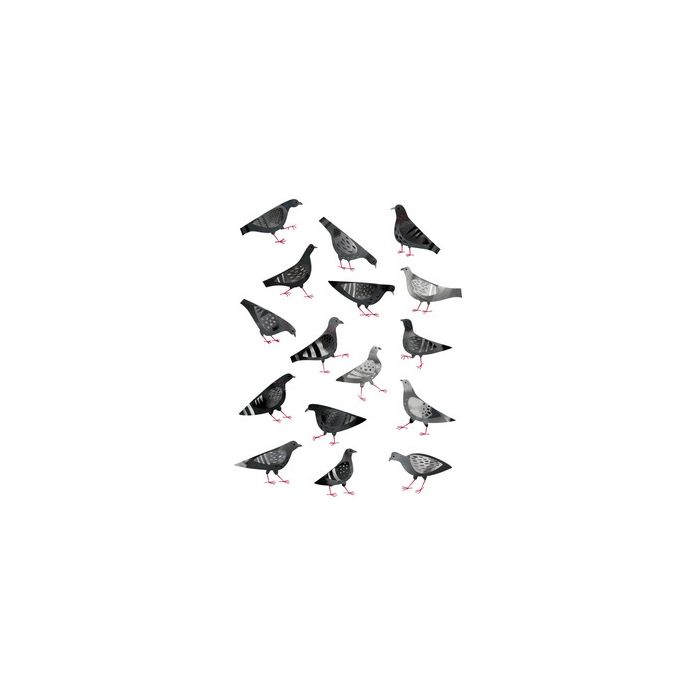 pigeon bird stickers