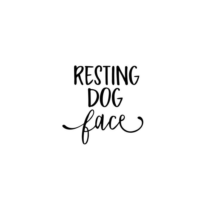 resting dog face phrase