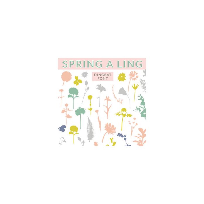 spring a ling floral dingbat font by angie makes