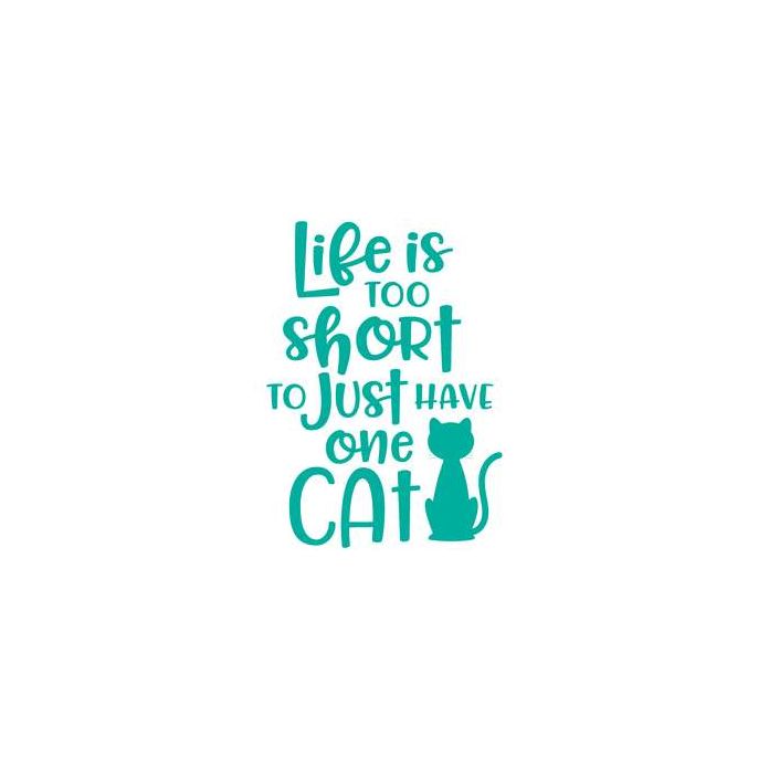 life is too short to just have one cat