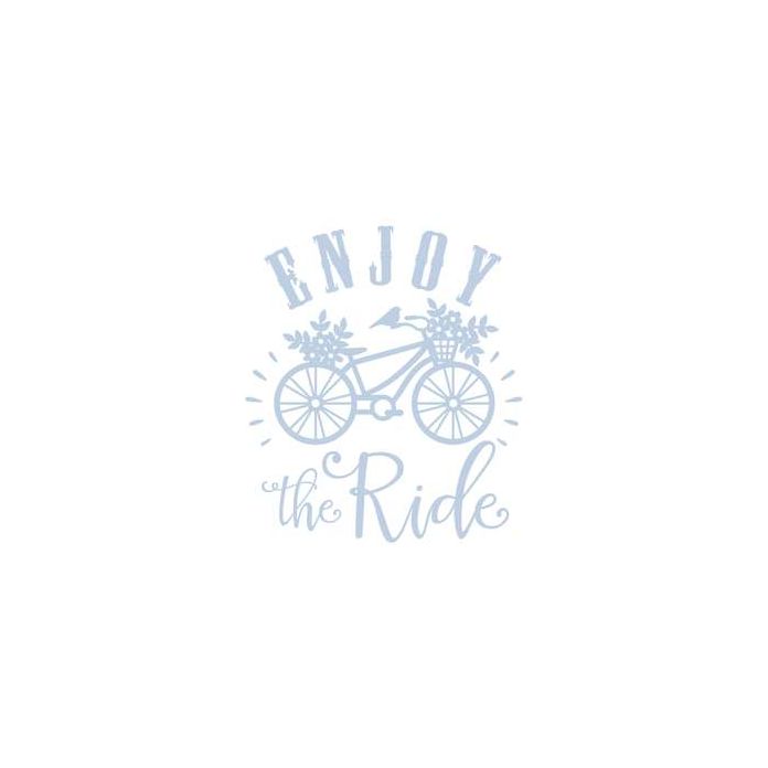 enjoy the ride bike