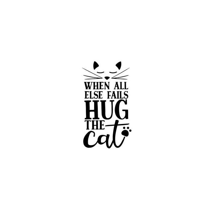 when all else fails hug the cat