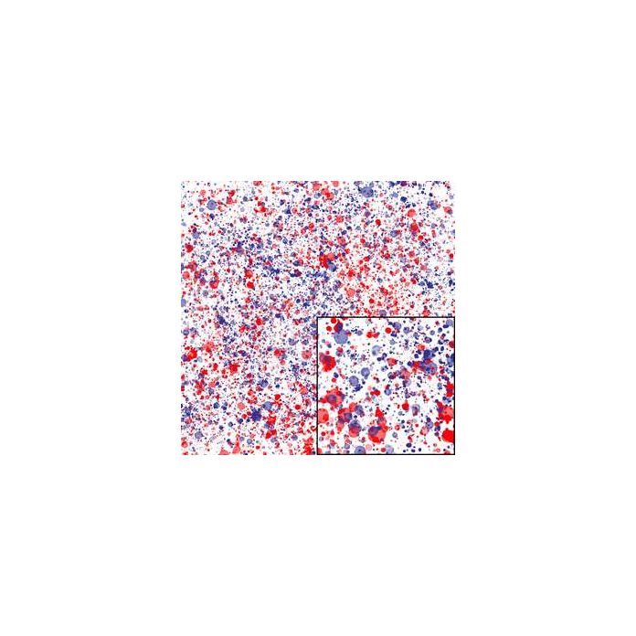 red and blue splatter