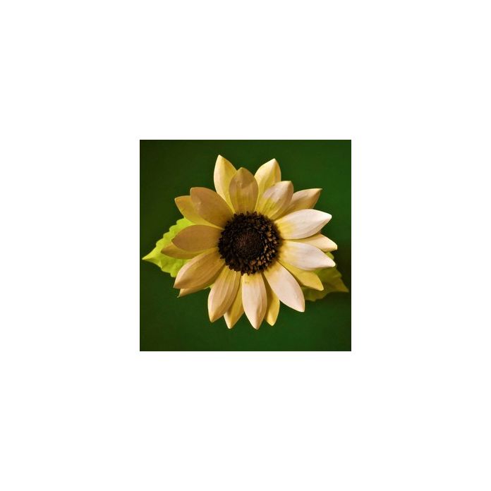 sunflower vanilla ice