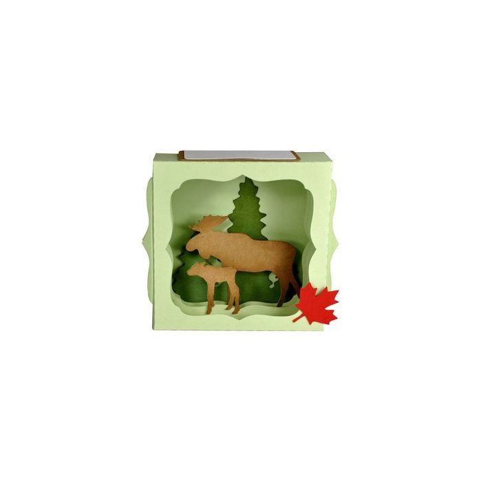summer moose gift card box