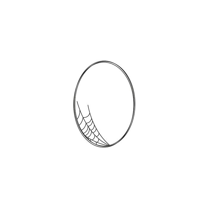 Spiderweb Oval Doodle Frame