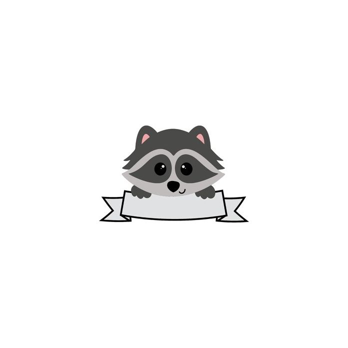 Raccoon With Banner