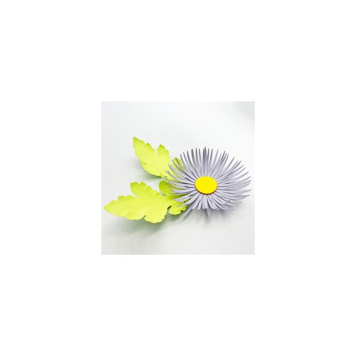 3D Daisy