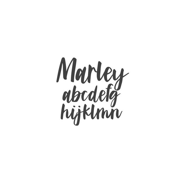 BFC Marley Brush Script Font