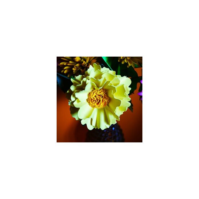 Hestia Flower