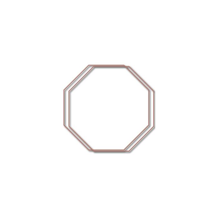 octagon wire frame 2