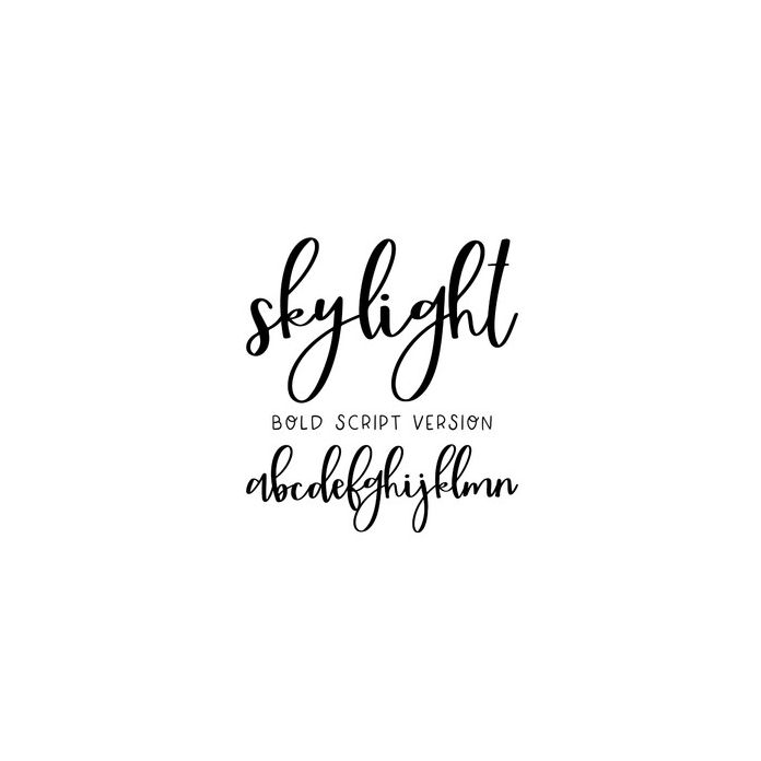 BFC Skylight Bold Brush Script Cursive Font