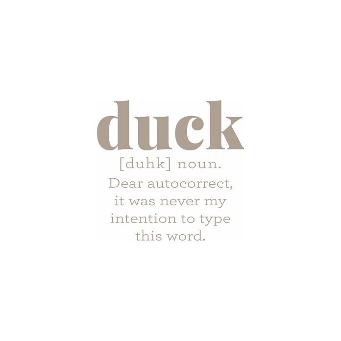 duck definition