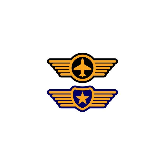 pilot symbols