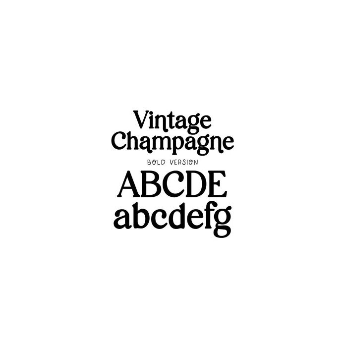 BFC Vintage Champagne Bold Modern Classy Retro Serif Font
