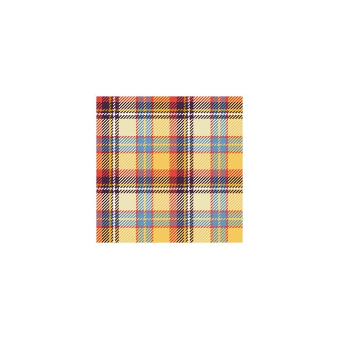 Plaid Pattern gift wrap texture