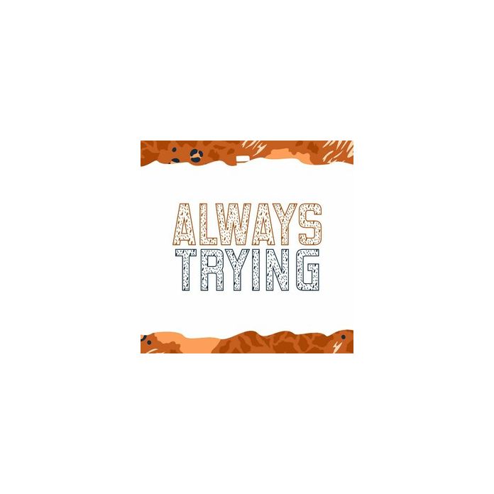 Always Trying Font