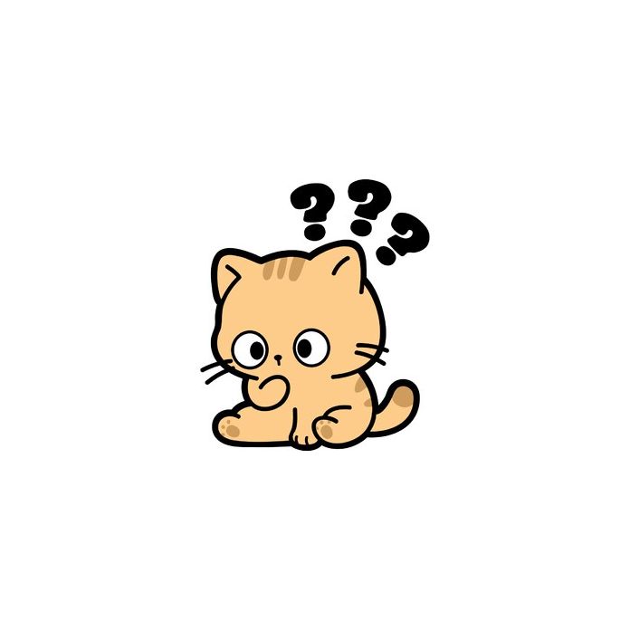 cute confused cat