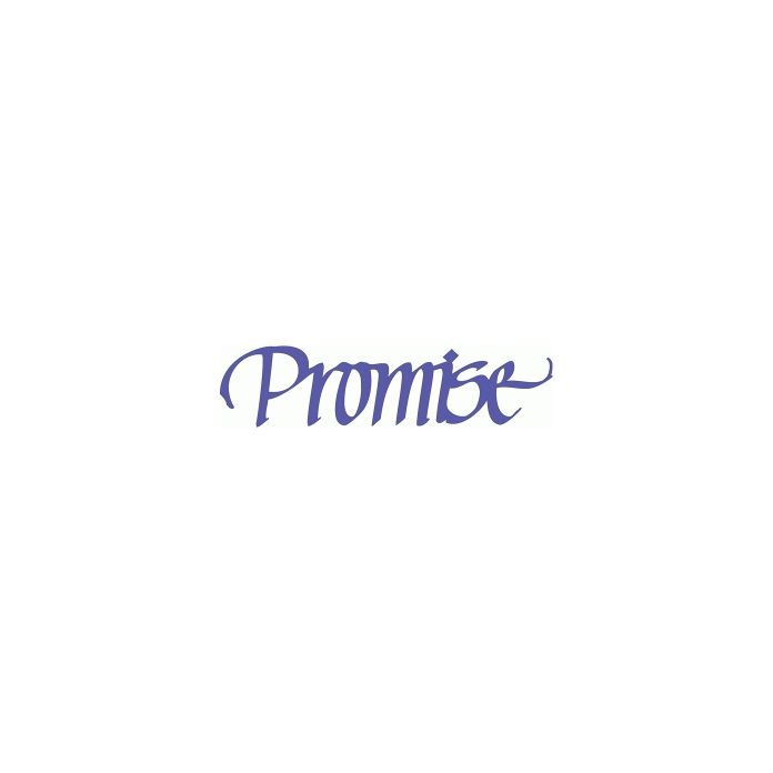 promise - calligraphy