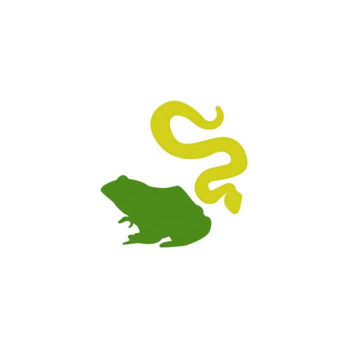 frog and snake